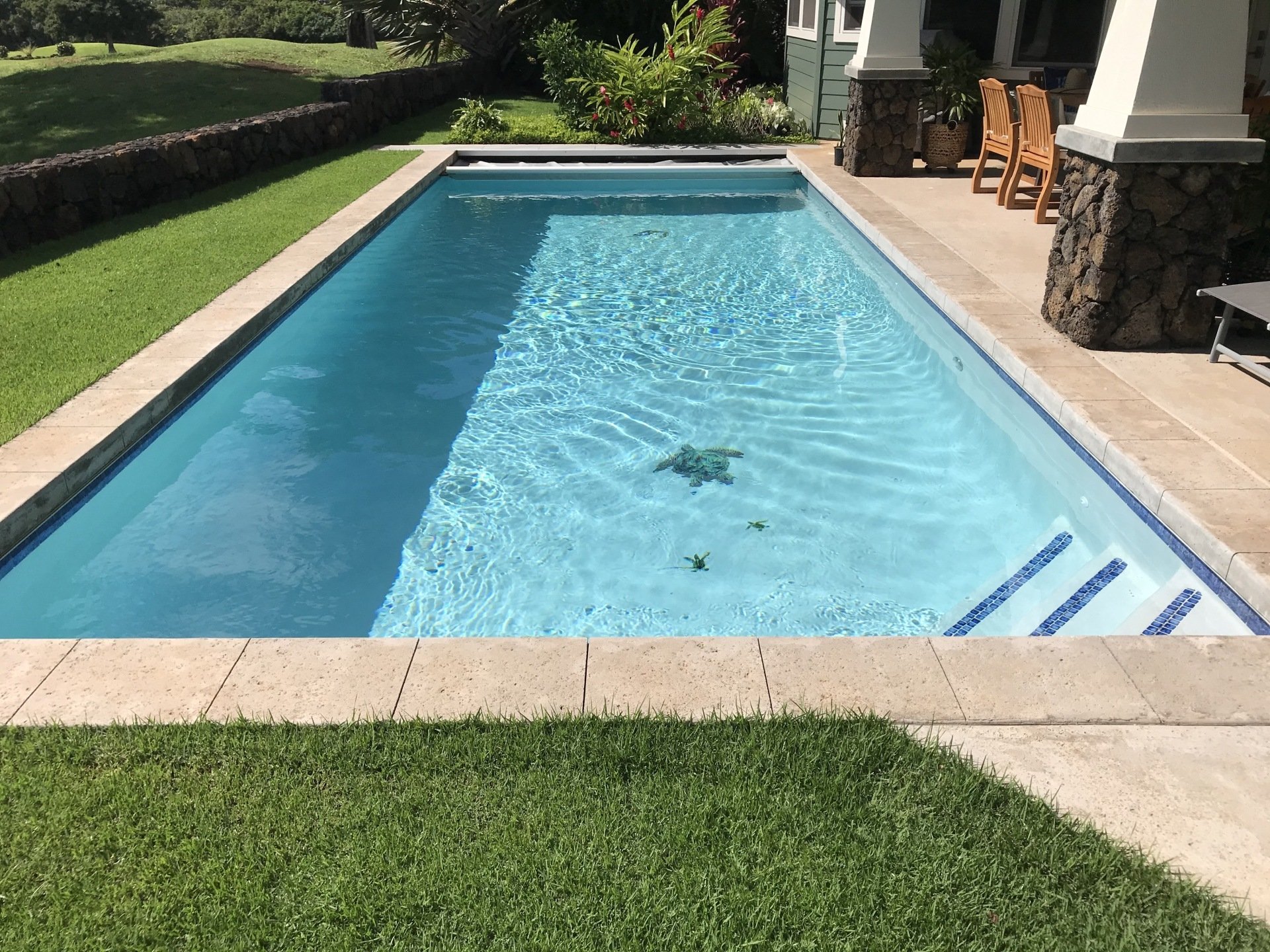 Pool Construction | Kaua'i | Puni Nani Pools & Spa