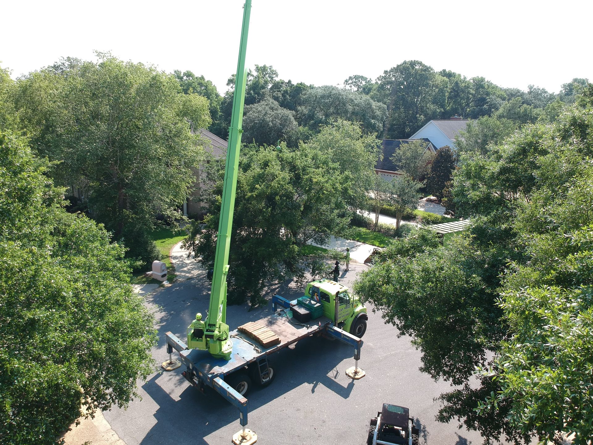 Gallery | A Cut Above Tree Care & Landscape, Inc.