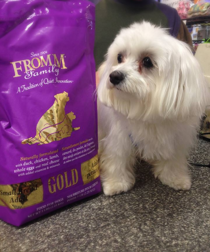 Pet Supplies | New Windsor, NY | Positively Pets