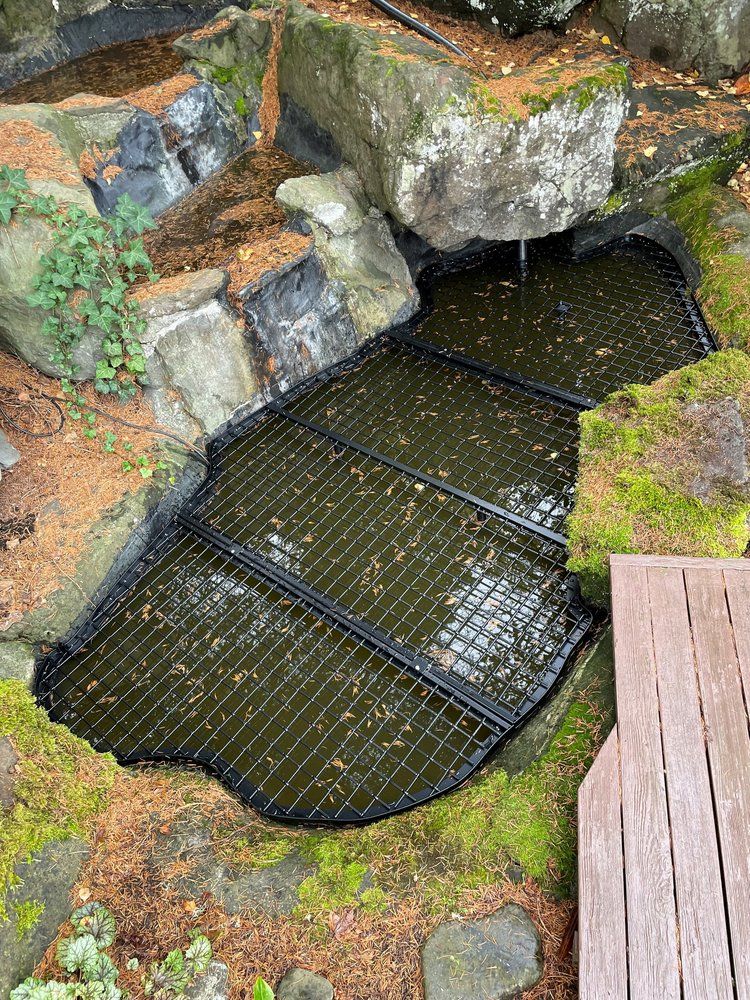 Stainless Steel Railings in Seattle, WA