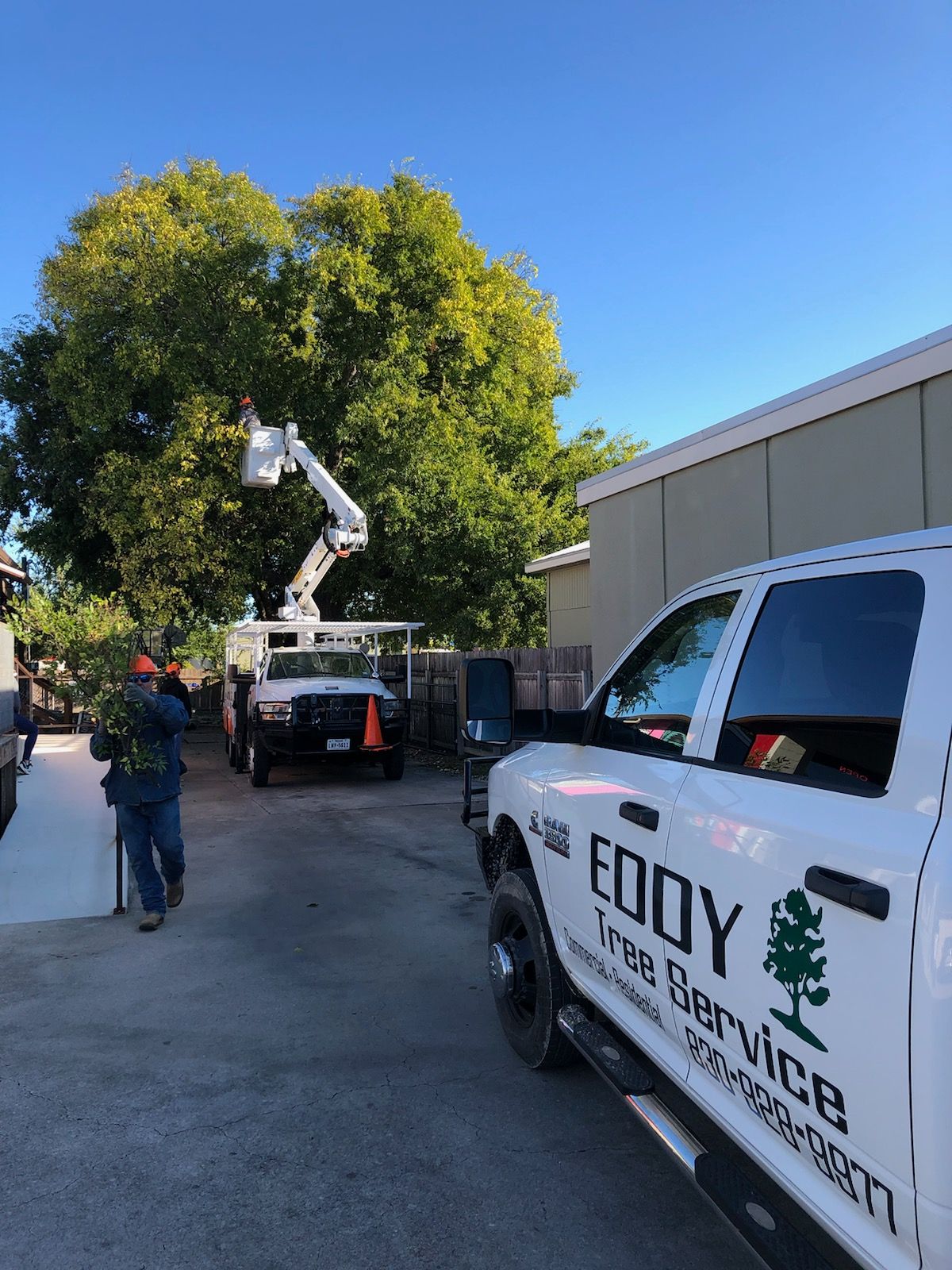 About Us | Eddy Tree Service