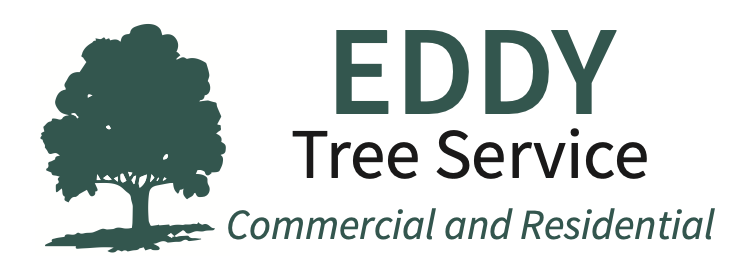 Eddy Tree Service Kerrville | Experienced Arborists