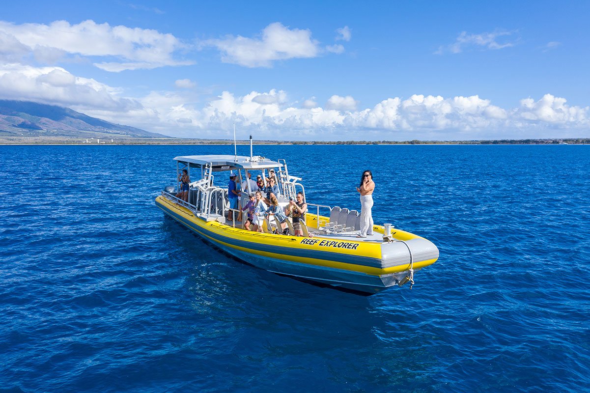 Maui Snorkel Tour Photos - Maui Reef Adventures