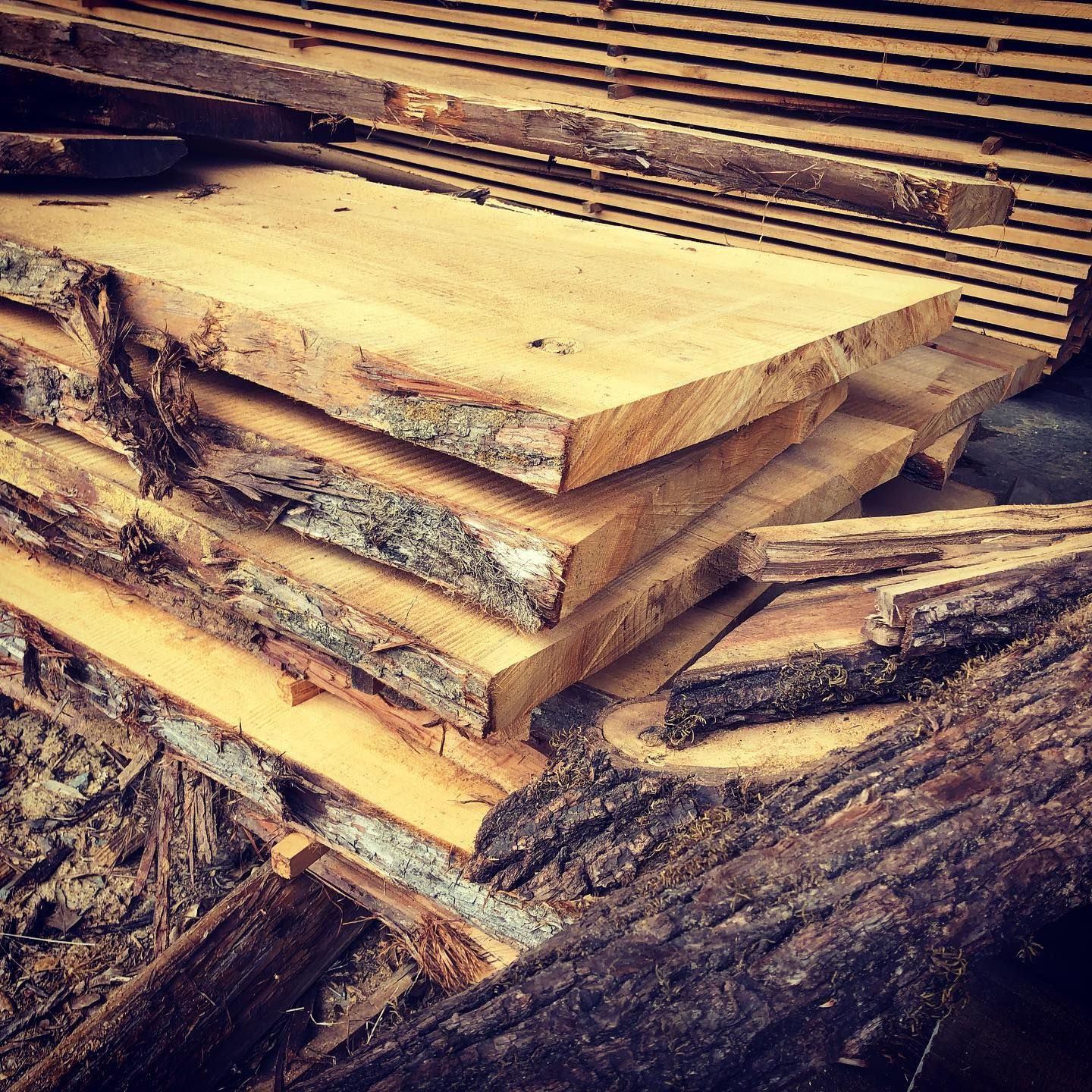 Local Sawmill – Monticello, AR – Bates Cypress Sawmill LLC