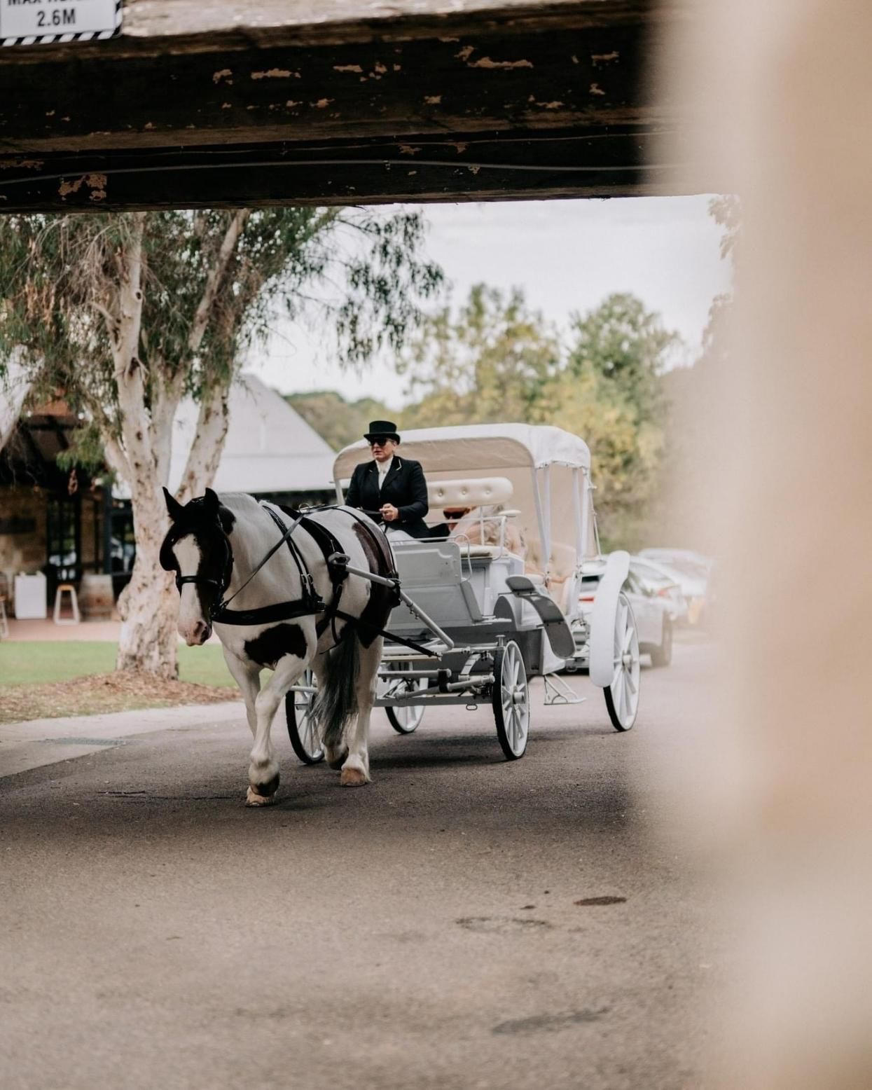 Horse Carriage Hunter Valley | Prestige Horse Carriages