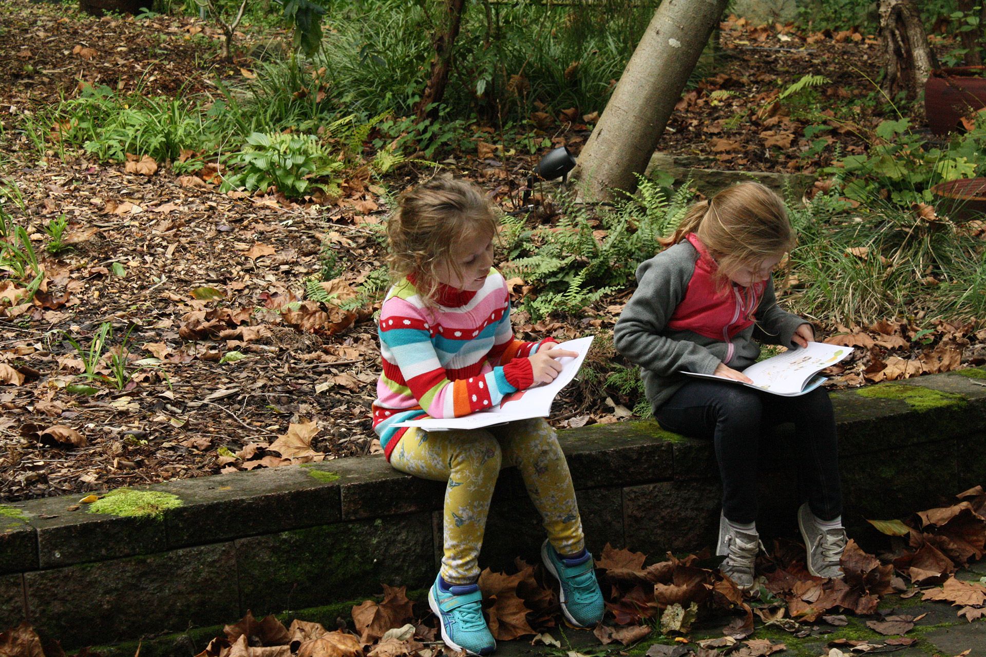 Educator Resources | Village Learning Place | Baltimore, MD