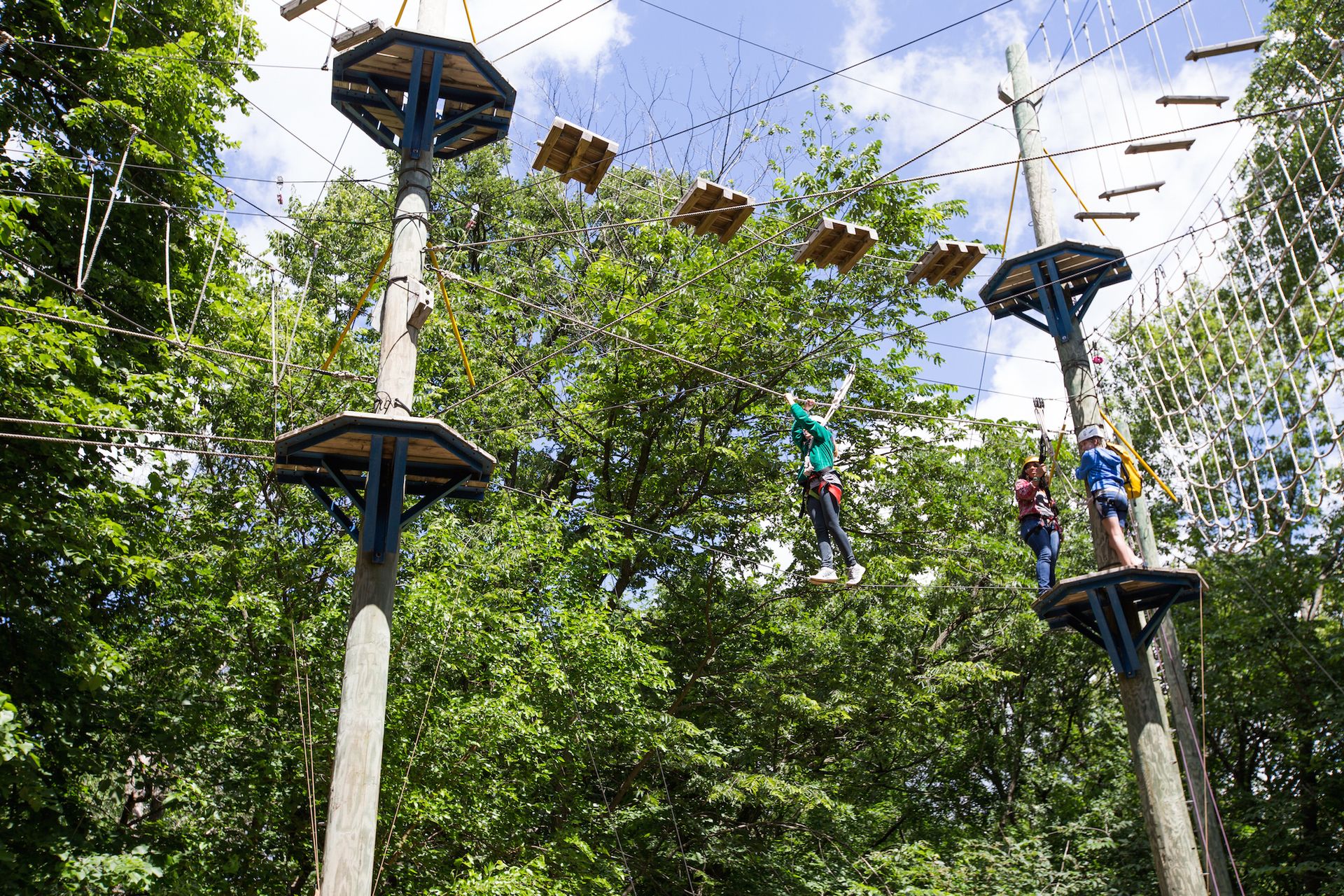 Outdoor Education at TImber-lee