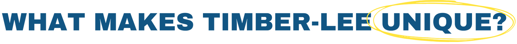 About Camp Timber-lee