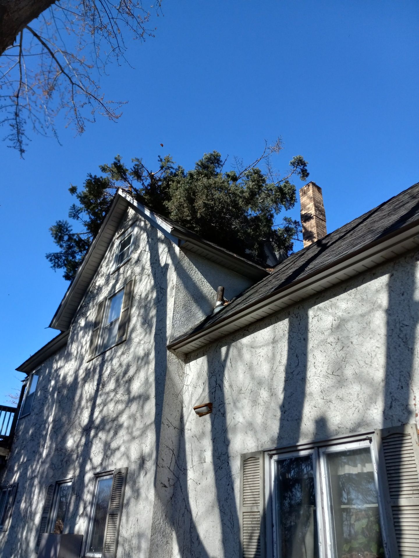 Gallery | Topher's Tree Trimming, LLC