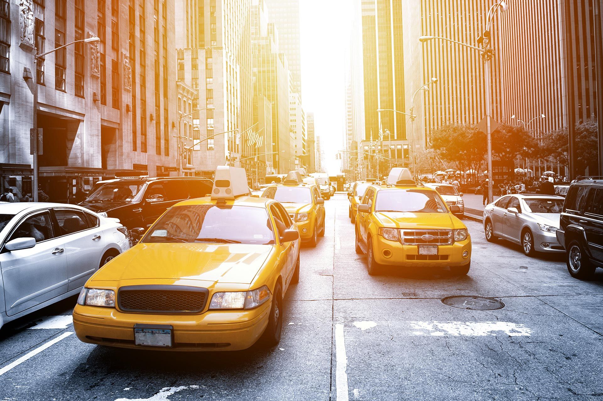 Yellow Cab Executive
