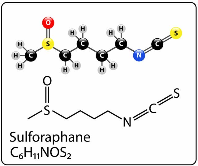 Prostaphane Sulforaphane - Be Active For Your Prostate