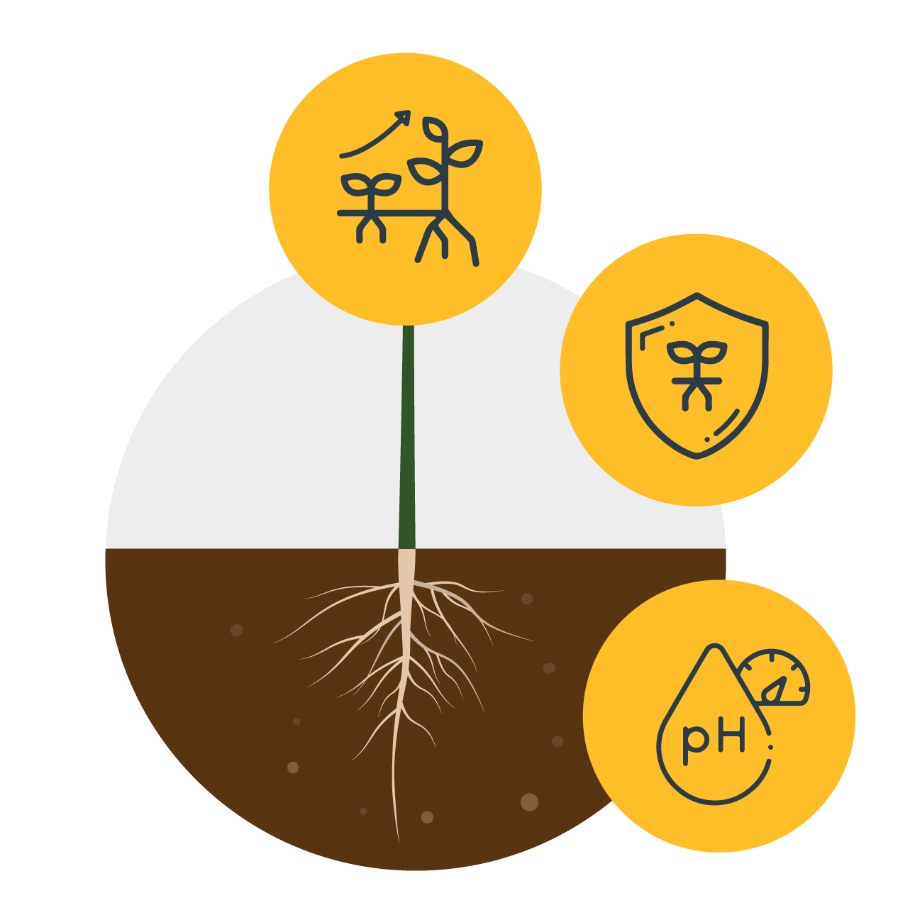 Amplify by Formula 1