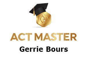 Gerrie Bours, professioneel