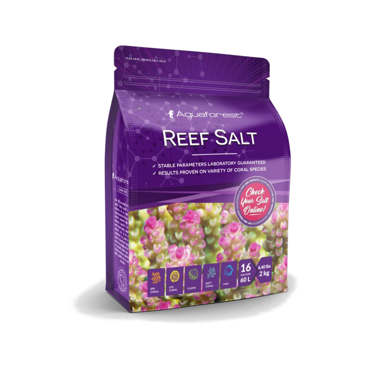 REEF SALT~ROCK~SAND