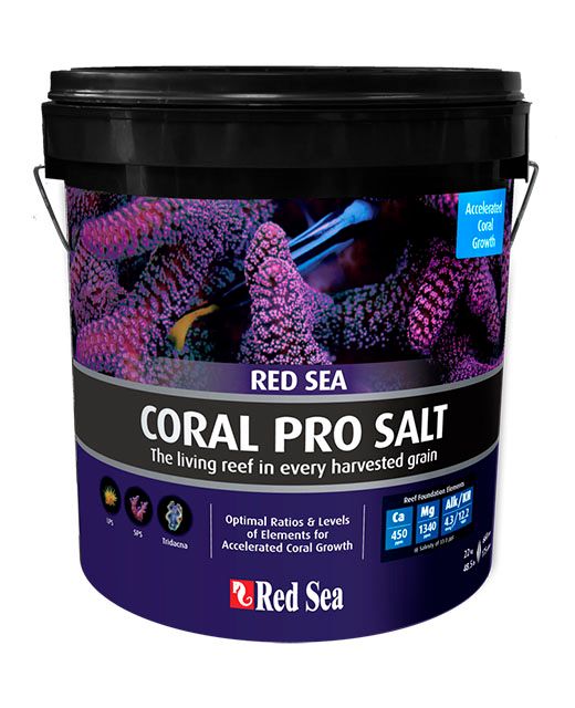 REEF SALT~ROCK~SAND