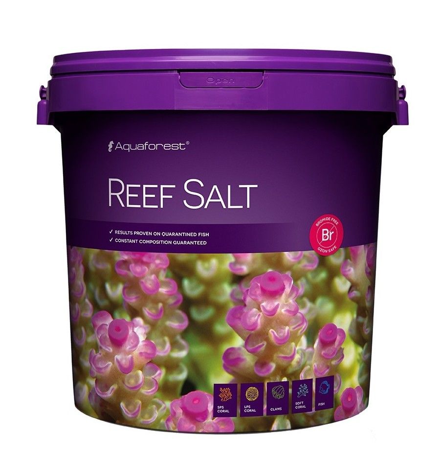 REEF SALT~ROCK~SAND