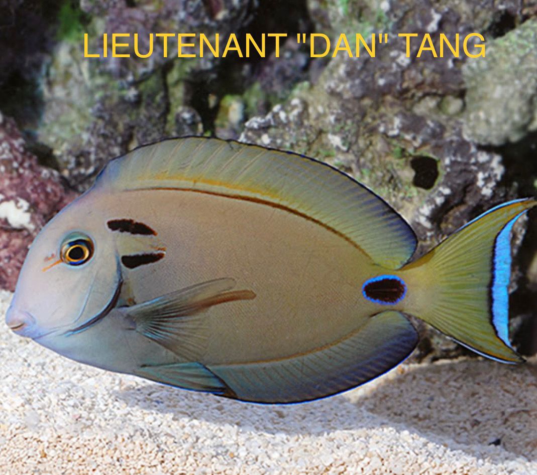 Welcome to Marinescape, Ottawa's Saltwater Aquarium