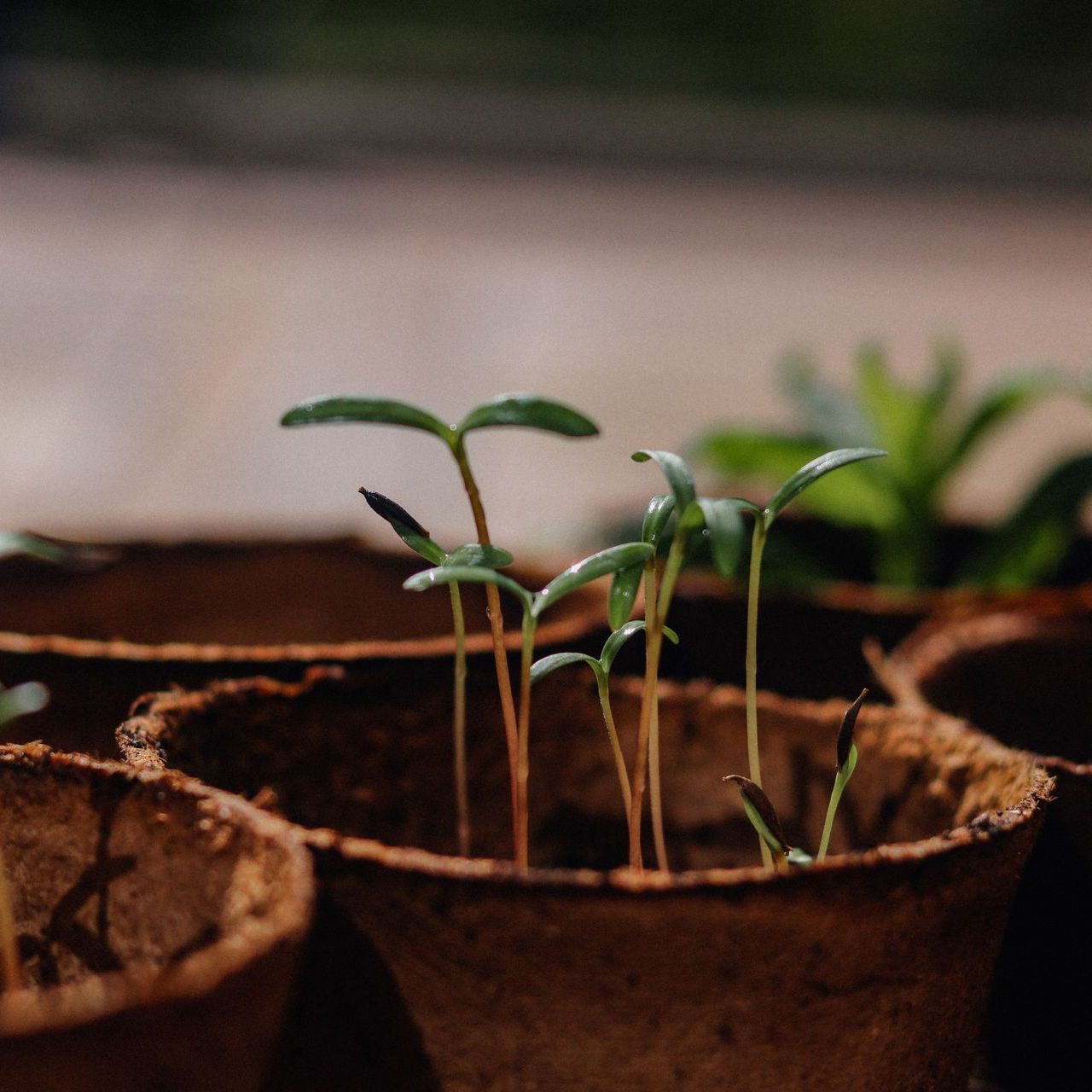 Home | Meritrust Wealth Management