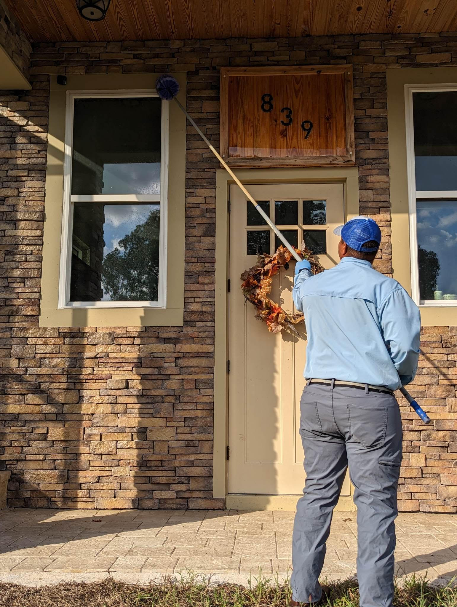 Spider Removal | Hurst Pest Services
