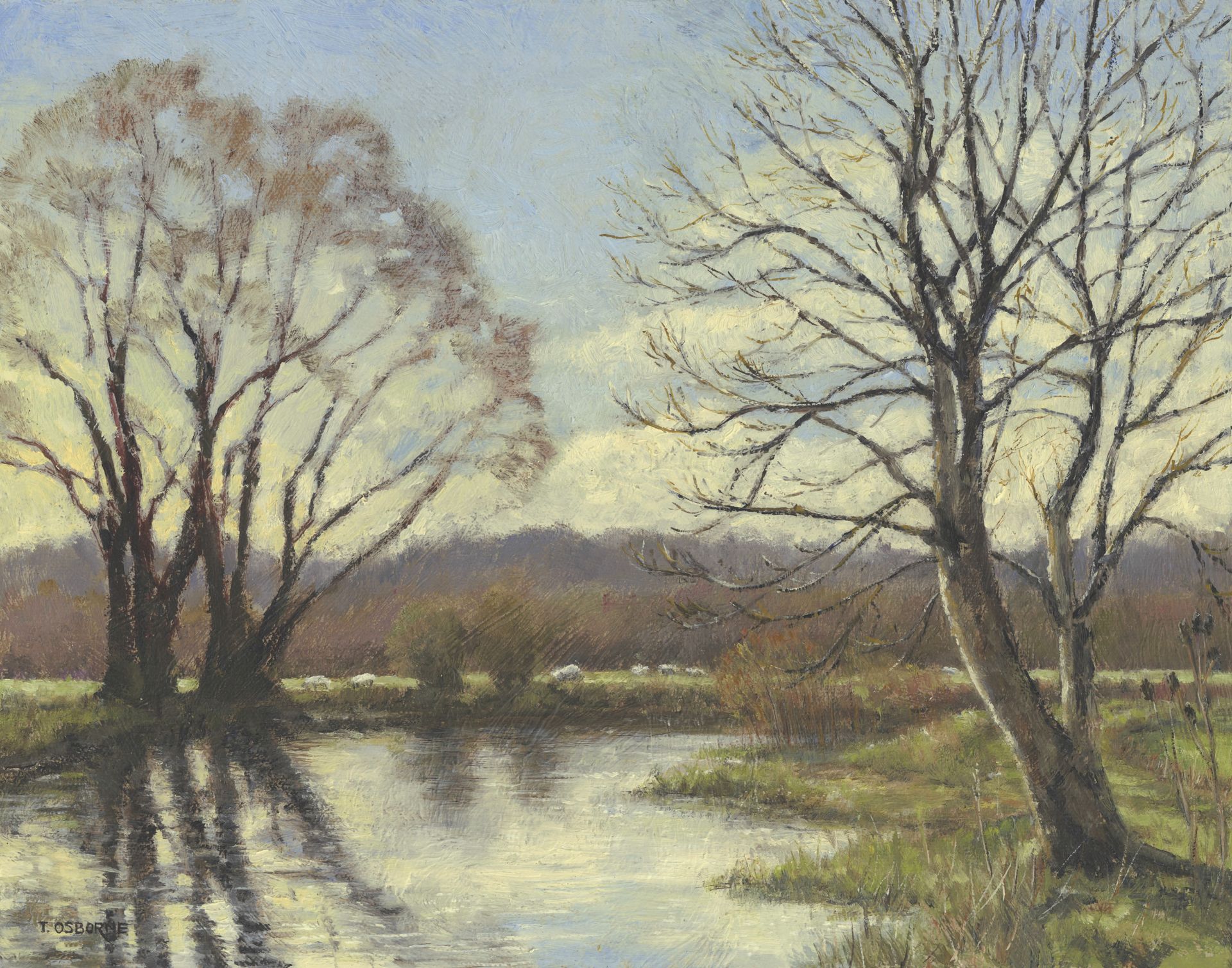 Tricia Osborne Oil Paintings