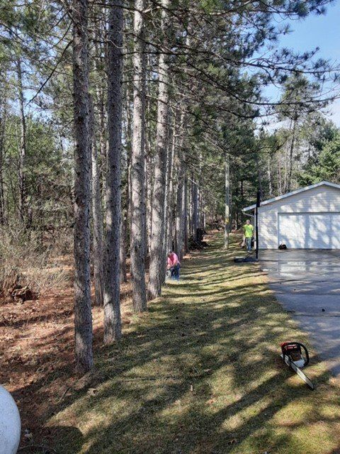 Gallery | Preston, WI | Eskildsen's Tree Service