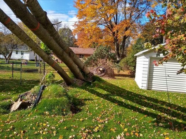 Gallery | Preston, WI | Eskildsen's Tree Service