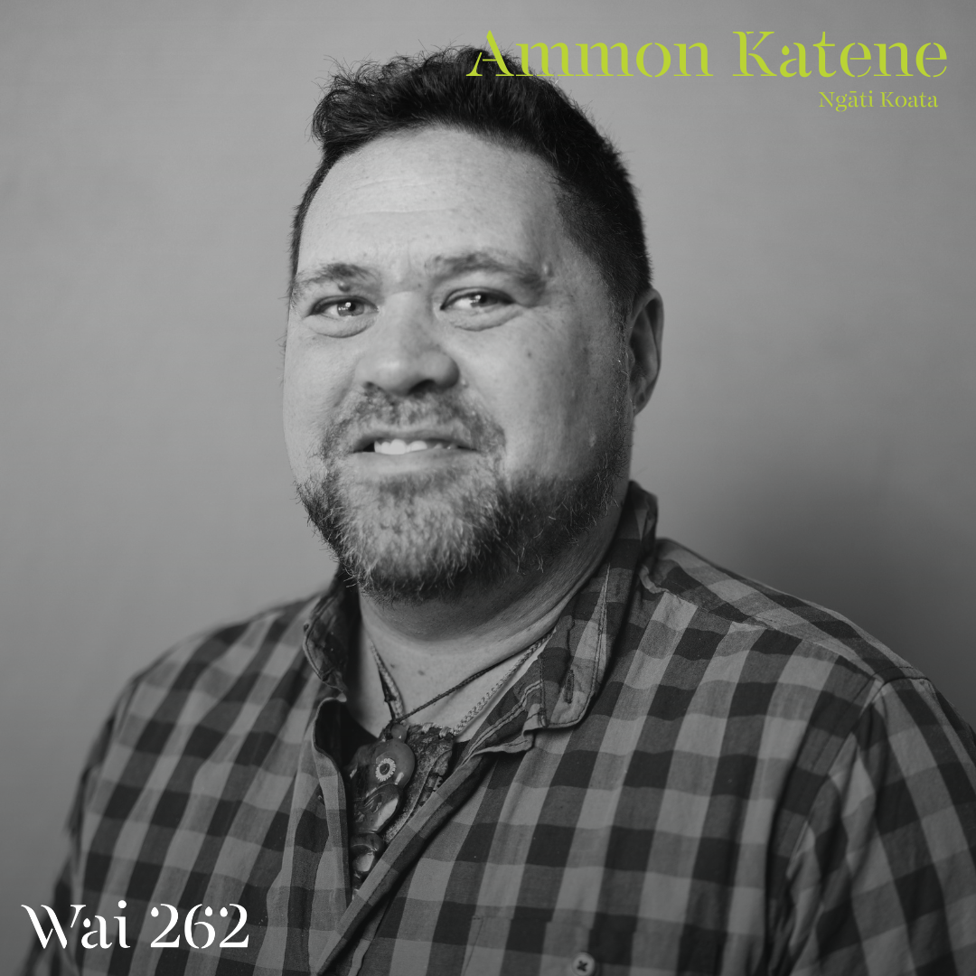 Wai 262 - Taumata Whakapūmau