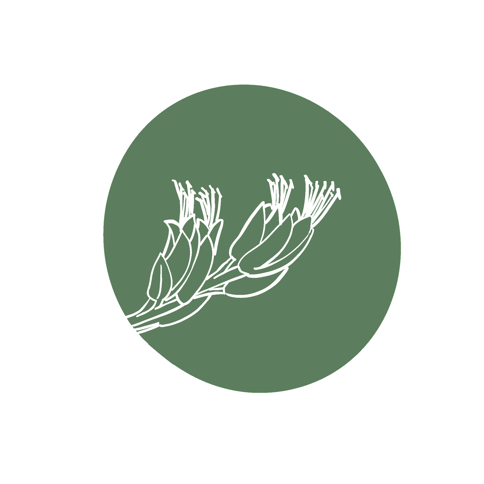 Wai 262: Taonga Protection