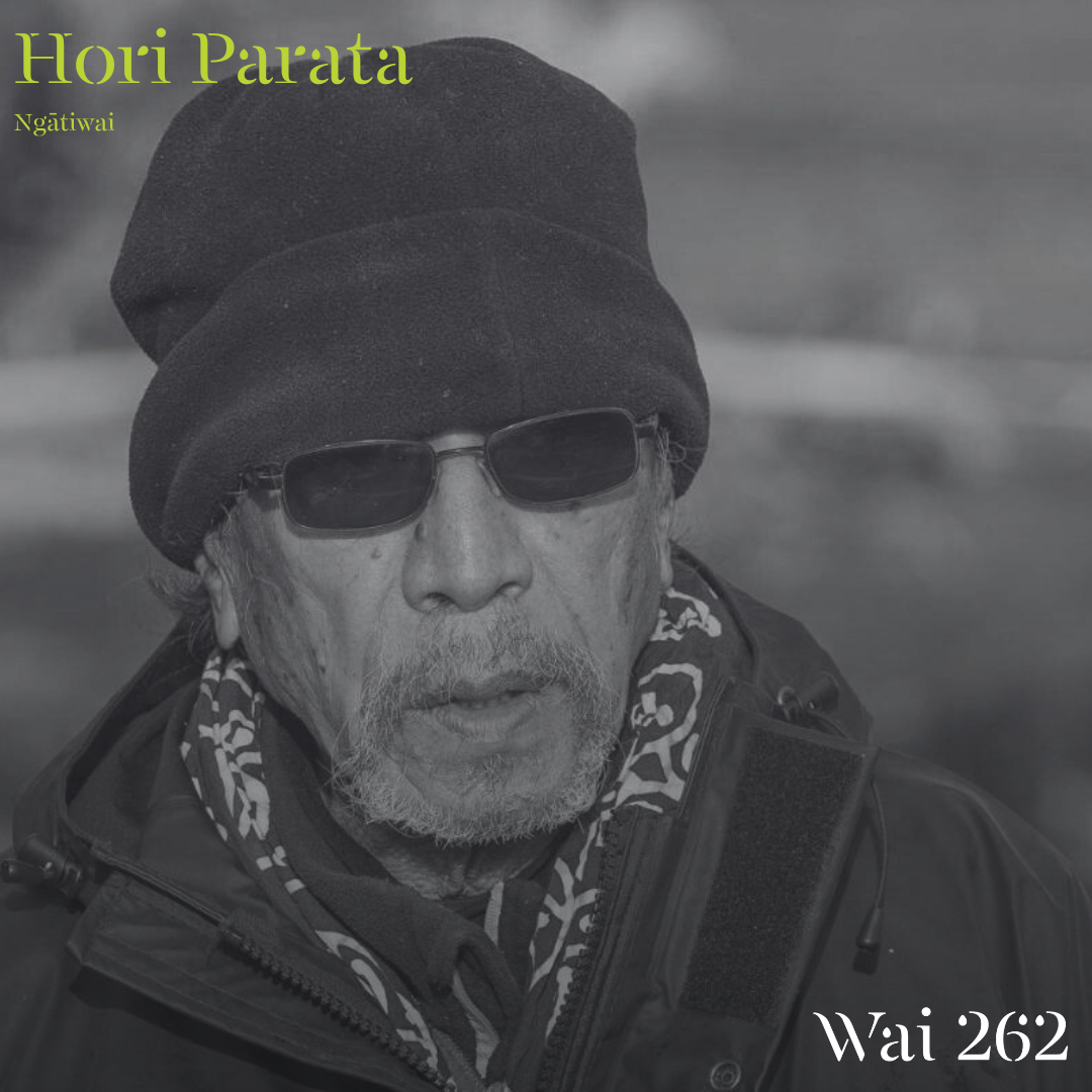 Wai 262 - Taumata Whakapūmau