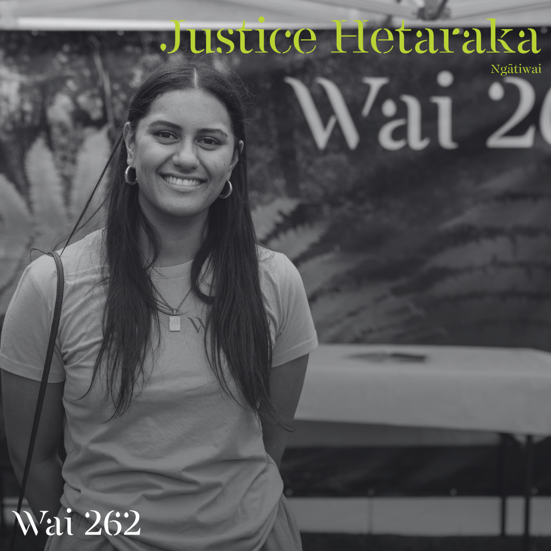 Wai 262 - Taumata Whakapūmau