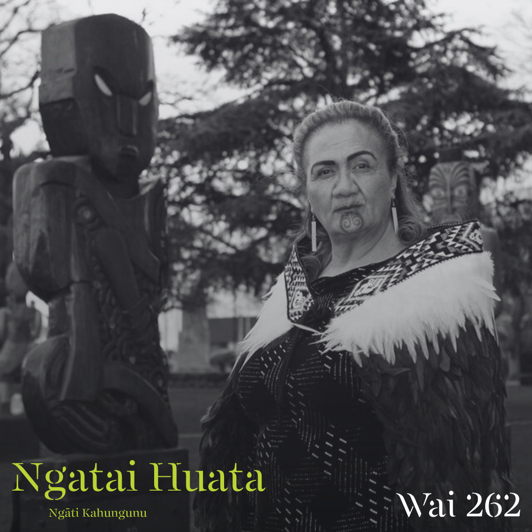 Wai 262 - Taumata Whakapūmau