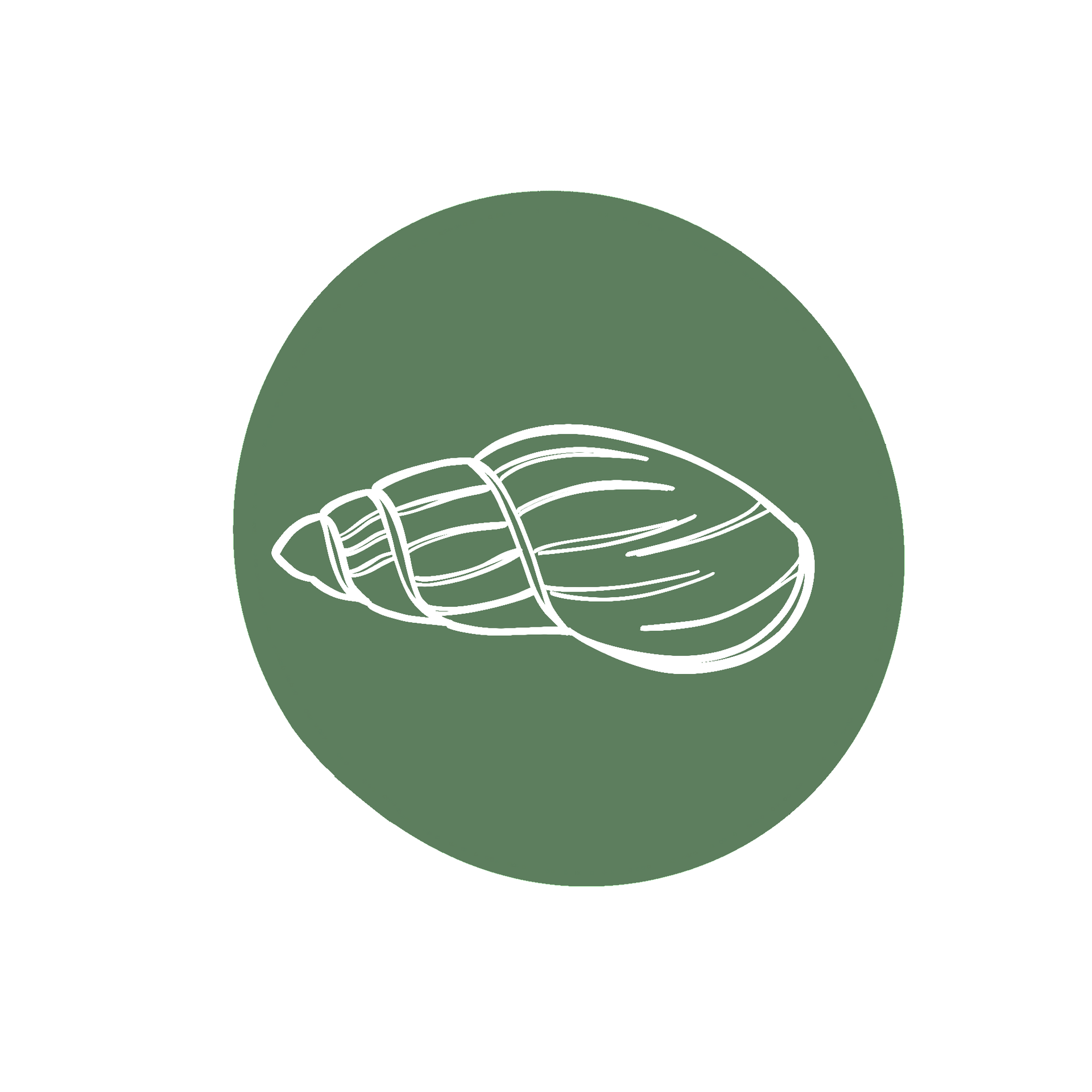 Wai 262: Taonga Protection