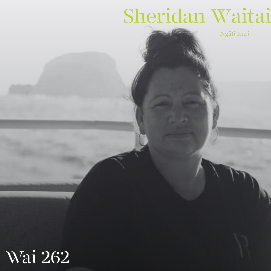 Wai 262 - Taumata Whakapūmau