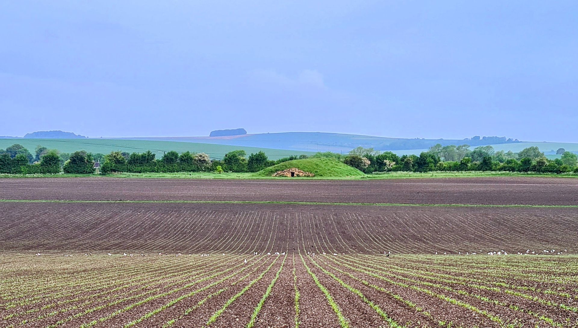 A 21st Century Long Barrow for Worship and Resting in Peace