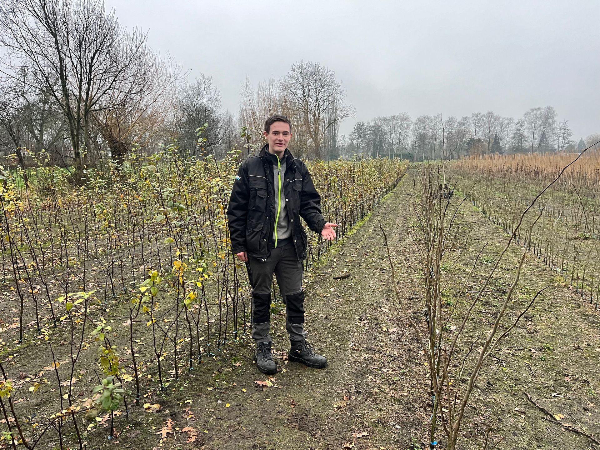 Boomkwekerij Cools, gespecialiseerd in het enten van planten, hagen en ...