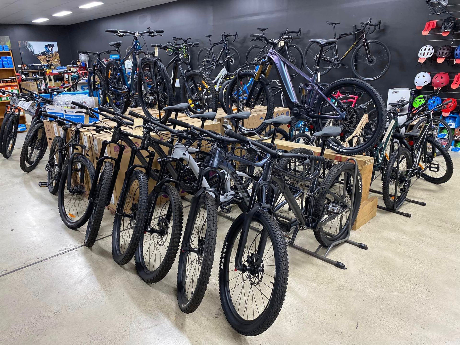 Gallery | Graham Seers Cyclery - Bicycle Retailer