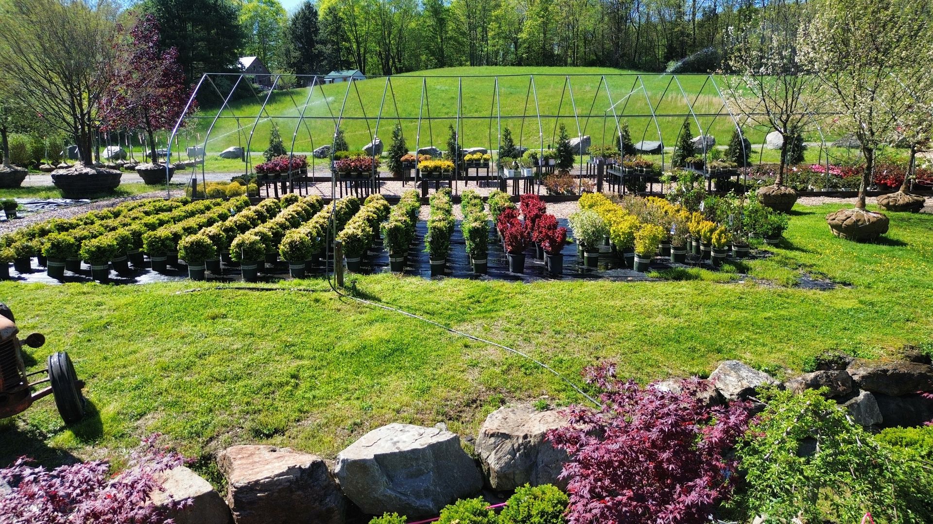 Gallery | Young's at Three Rivers | Tree Nursery