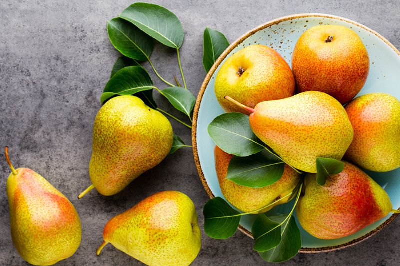 Western Cape Fruit Processors | Home