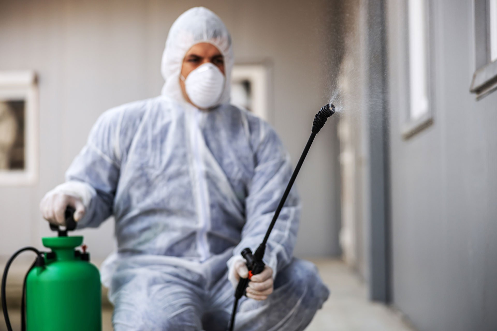 Residential Pest Control | Lockport, NY | Advanced Exterminating Co