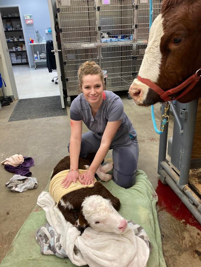 Staff | Sunny Ridge Veterinary Services | Rogers, OH