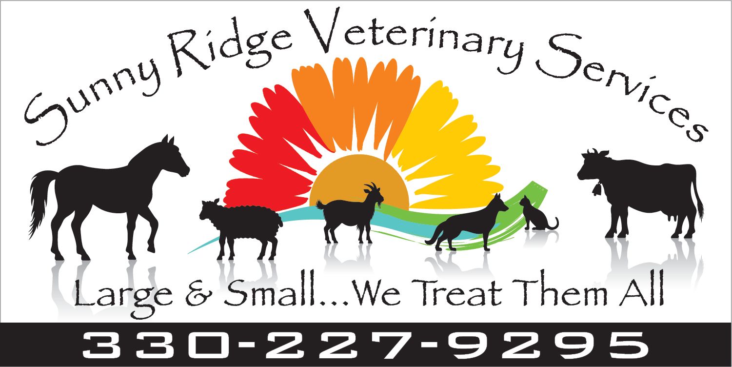 Veterinary Services | Sunny Ridge Vet | Rogers, OH