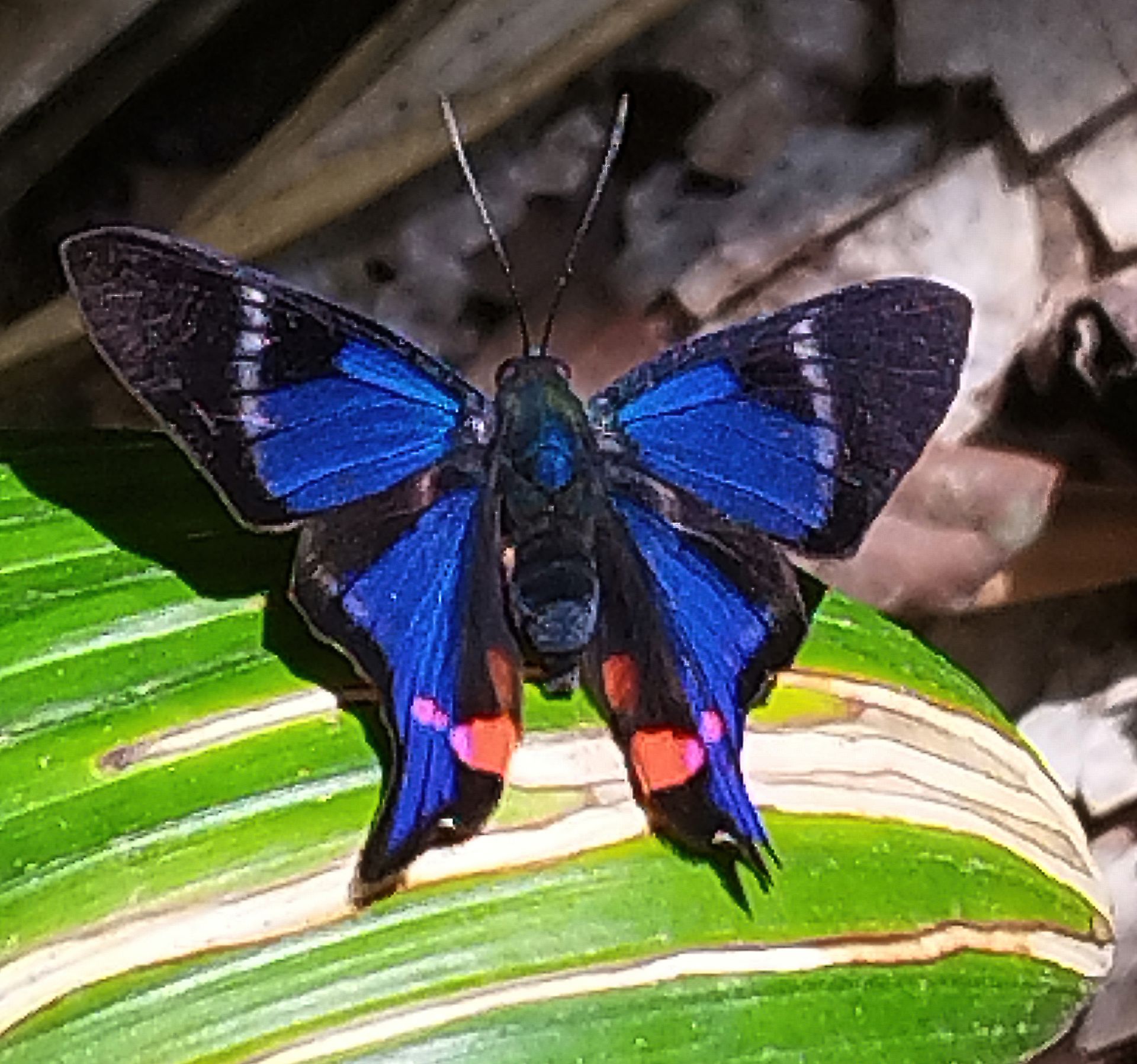 Napo Cultural Centre
