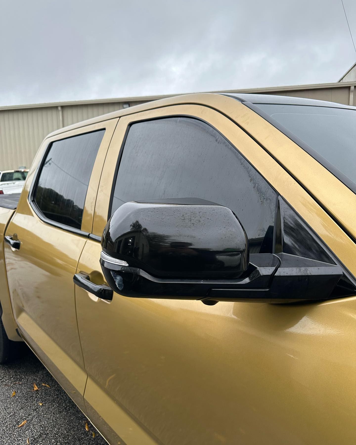Eli's Window Tint | Rocky Mount, NC | Auto & Commercial Window Tint