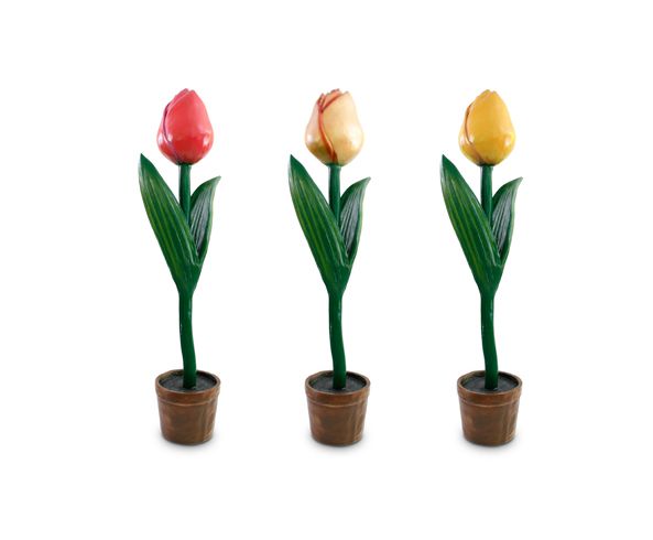 Welkom bij DecoTulp