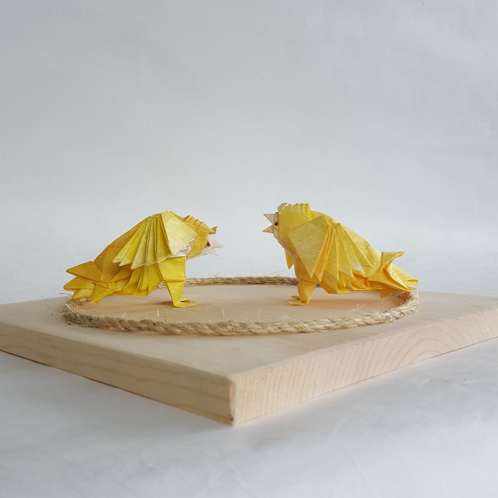 Sumo Canary - Origami Dog Hawaii | Shannon Nakaya