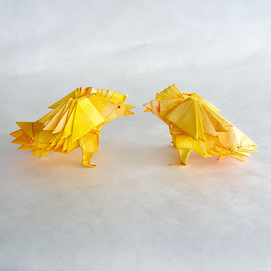 Sumo Canary - Origami Dog Hawaii | Shannon Nakaya
