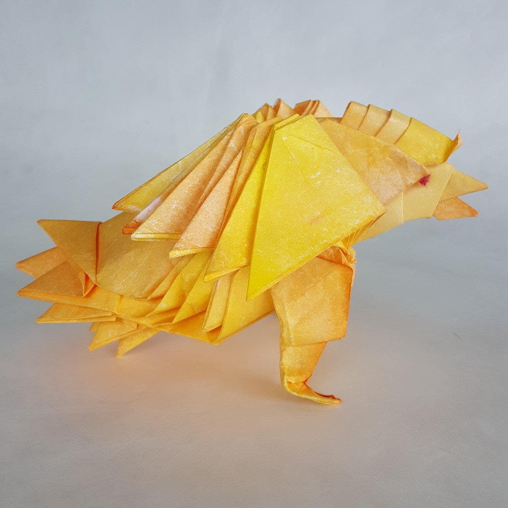 Sumo Canary - Origami Dog Hawaii | Shannon Nakaya