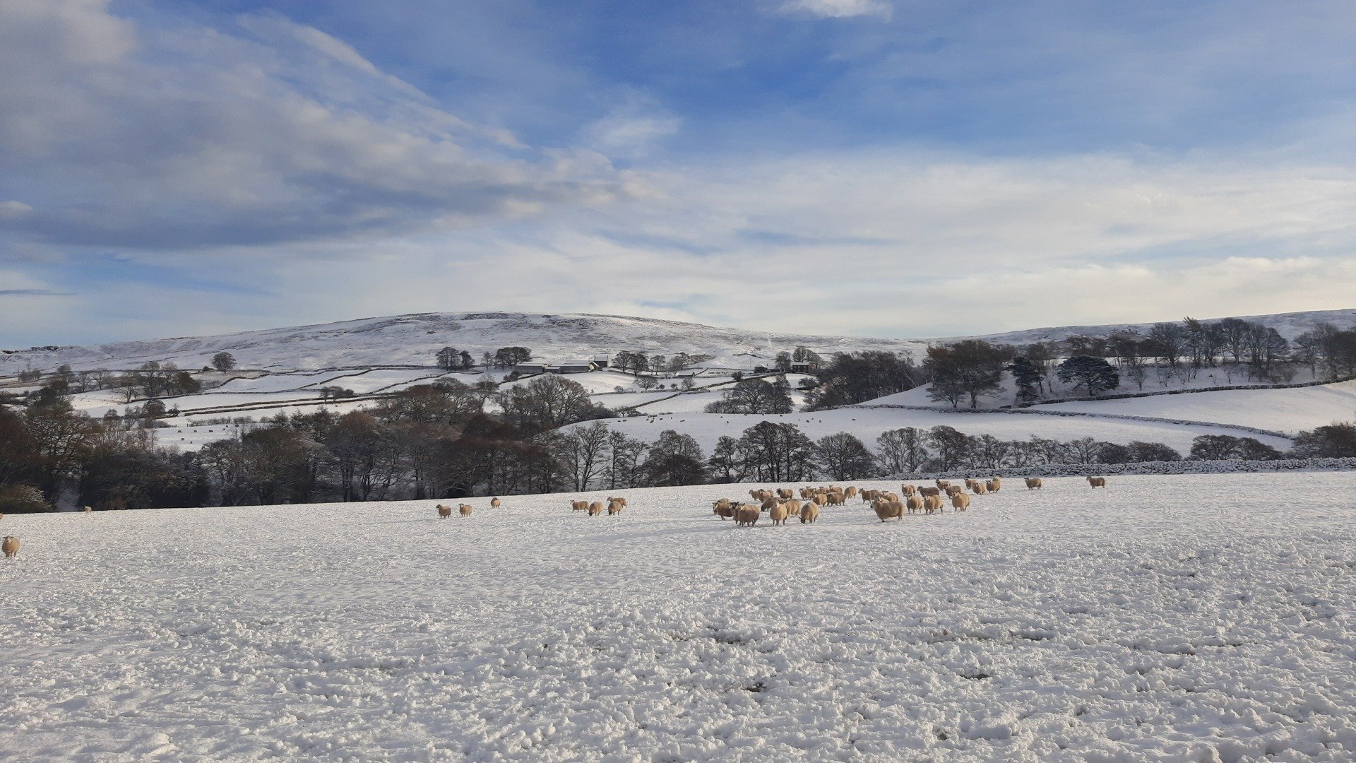 Winter walking in the North York Moors