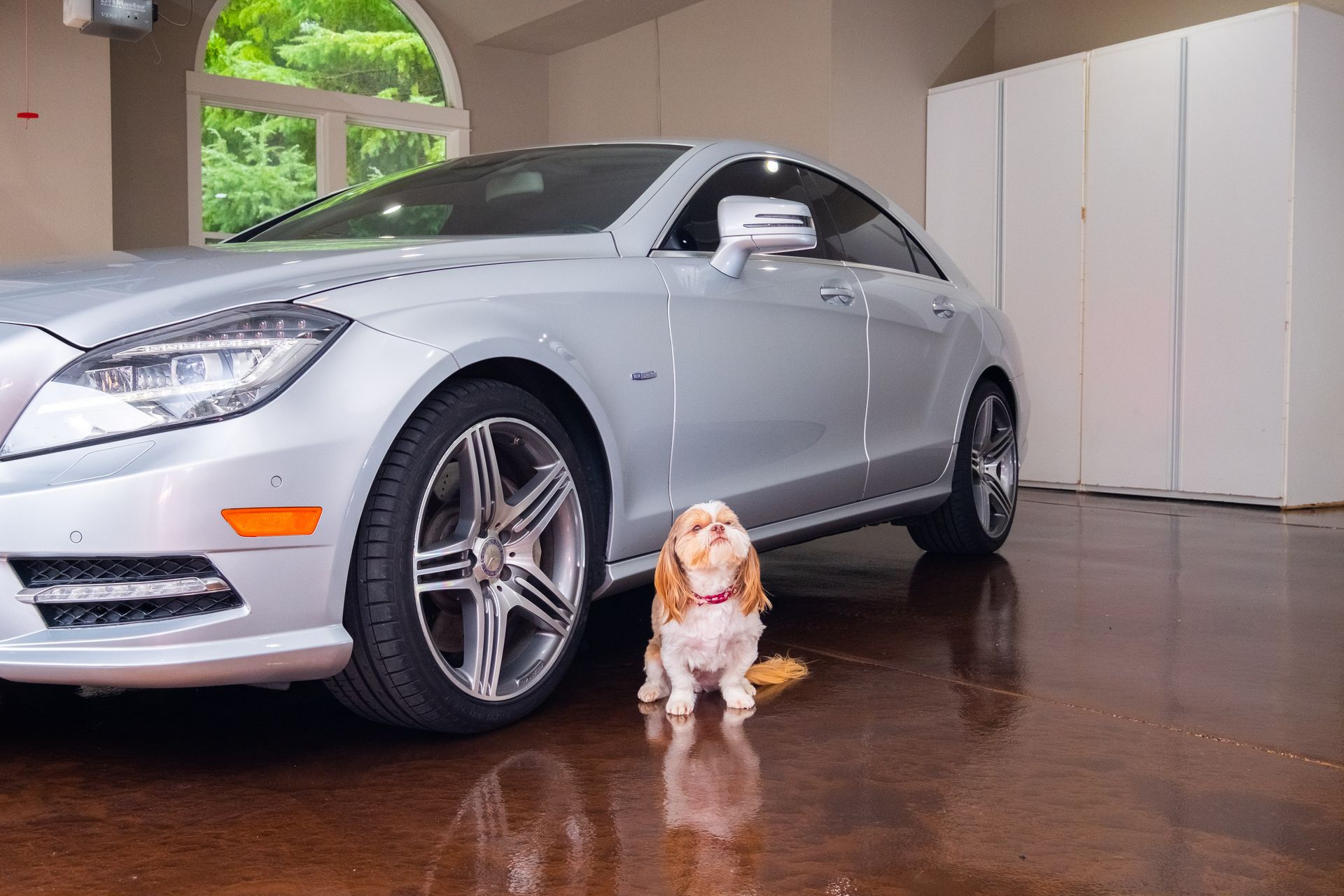 Painting Contractors Albany, Corvallis, Salem | Fitzpatrick Painting