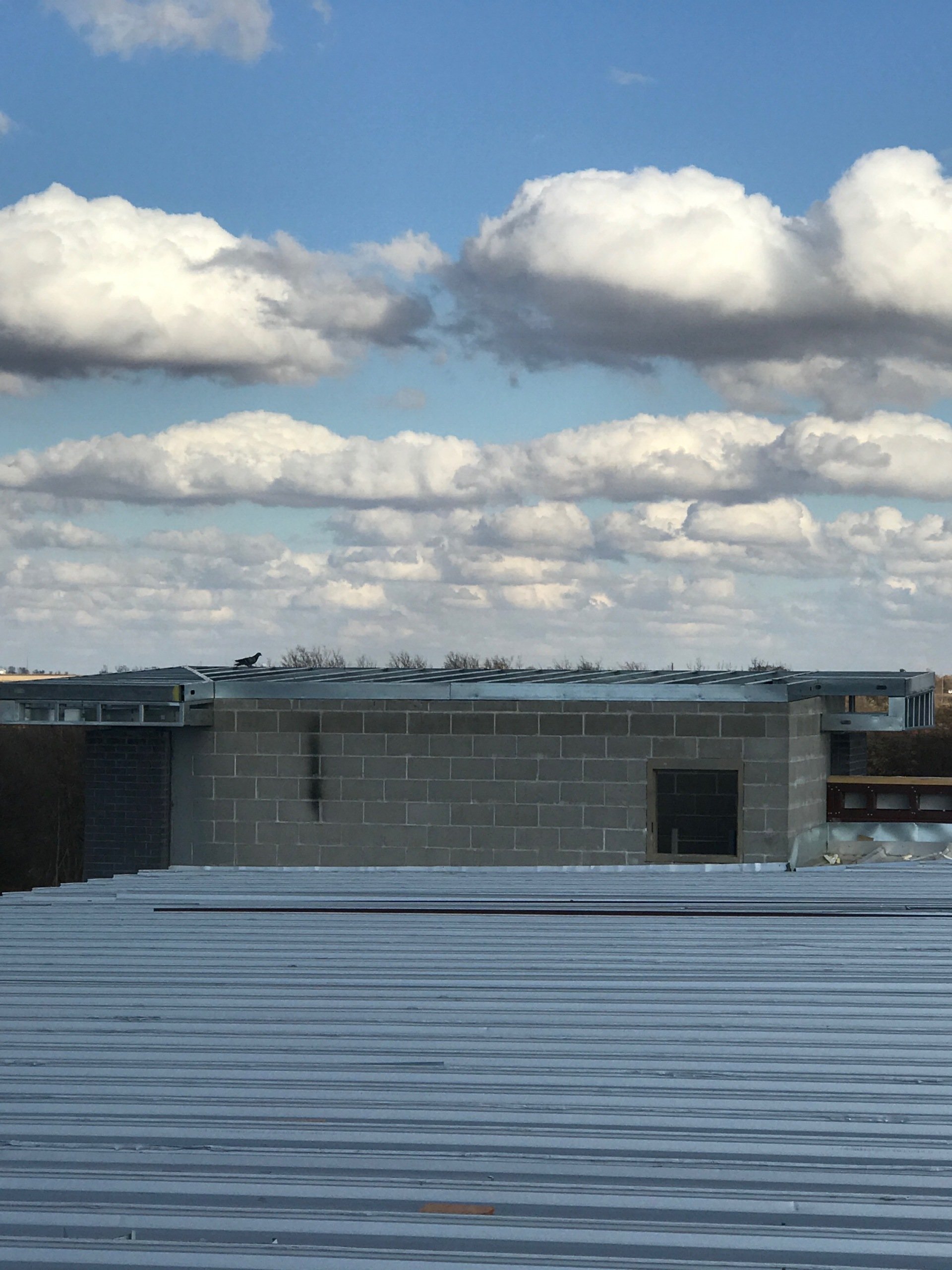 DELTA ROOFING CONSTRUCTION LLC